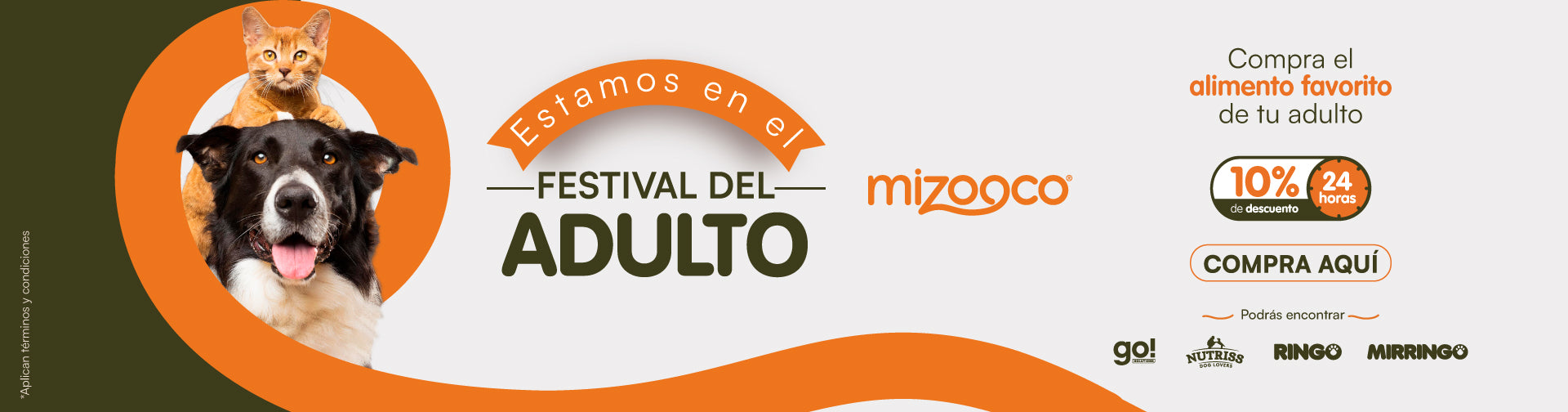 Festival del adulto
