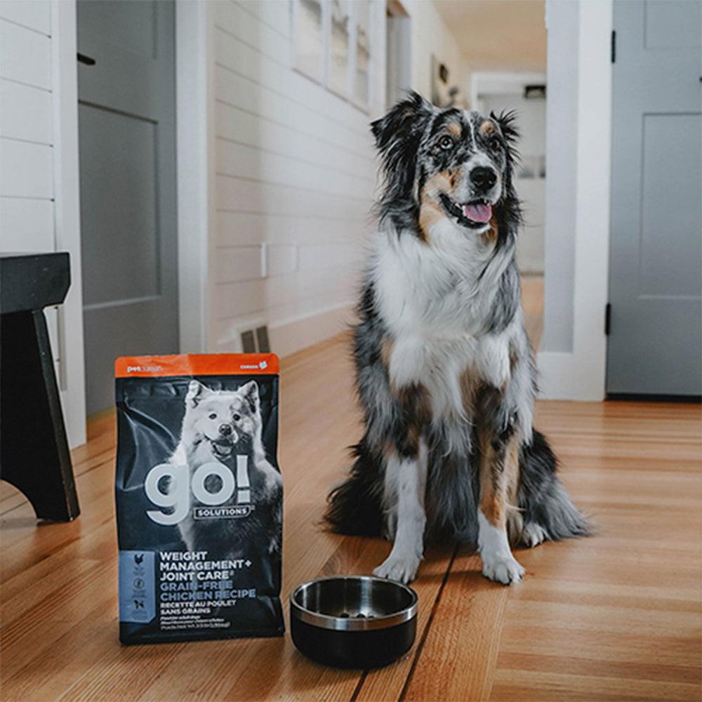 Go! Solutions Weight Management + Joint Care Receta de Pollo Sin Grano