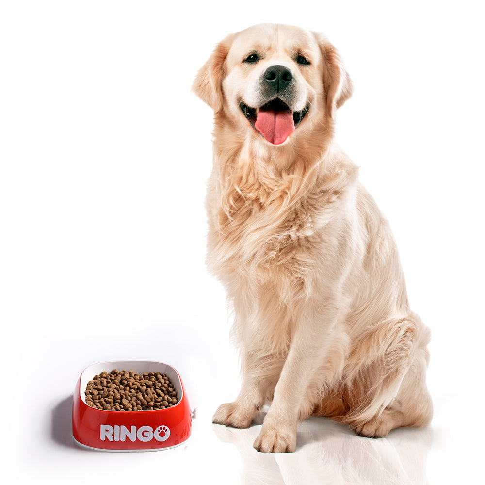 Ringo Original Perros Adultos