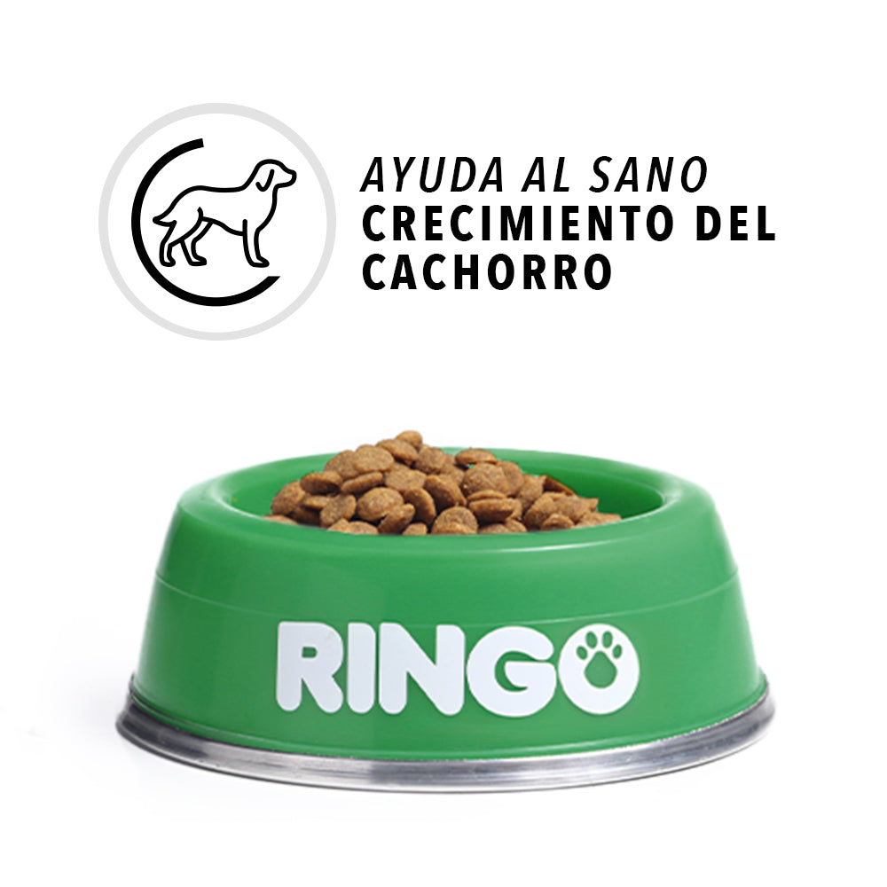 Ringo Original Perros Cachorros